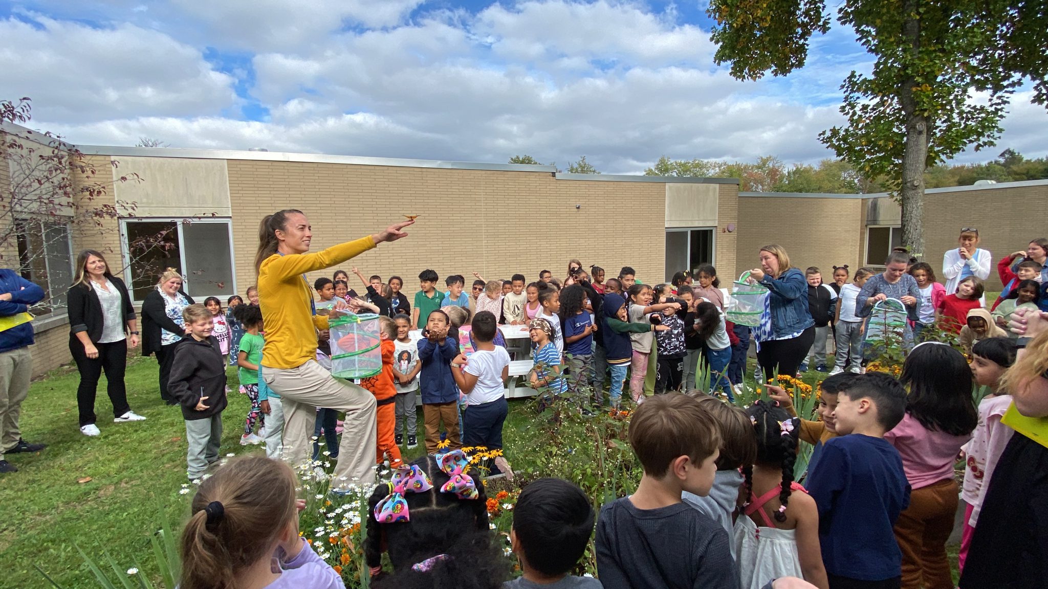 Cooke students witness butterflies emerge from chrysalis - Monticello ...